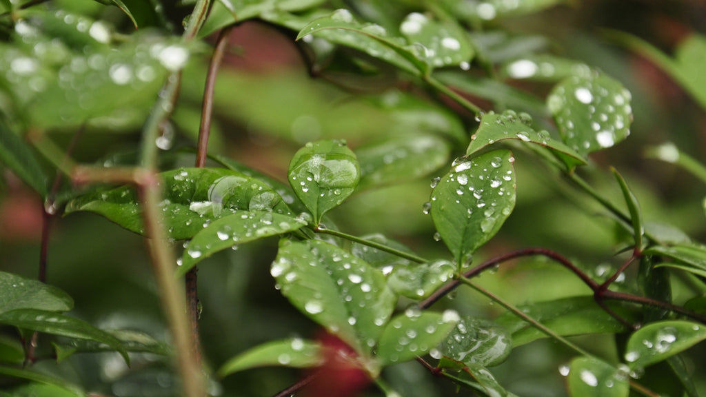 Karün and the Sustainable Development Goals | Karün Europe